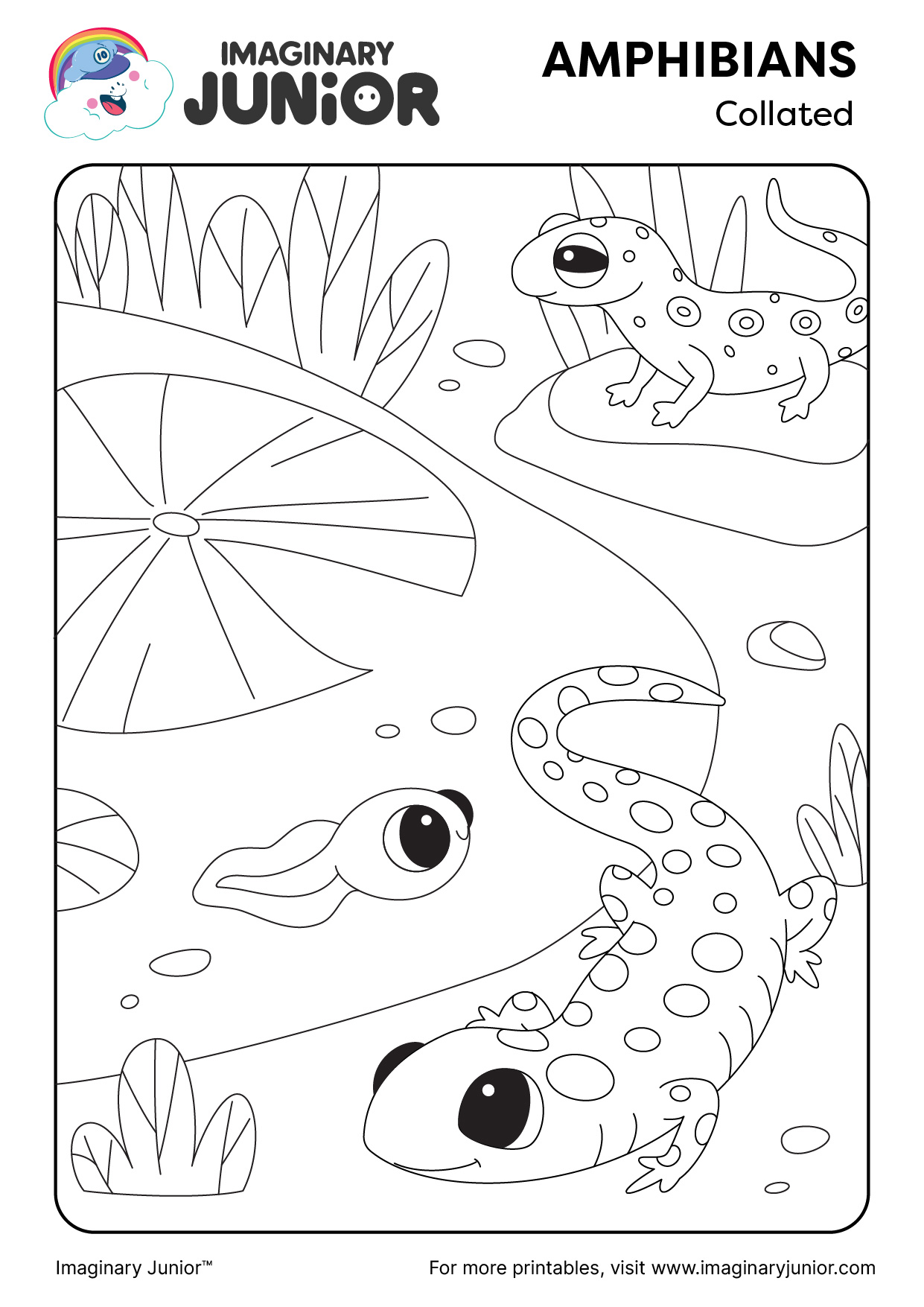 Collated - Imaginary Junior