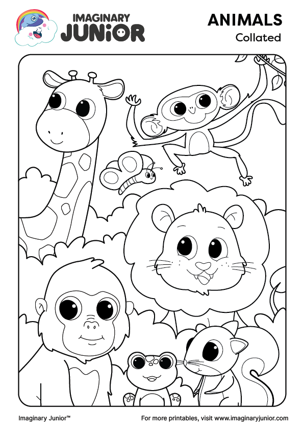 Group of animals - Imaginary Junior