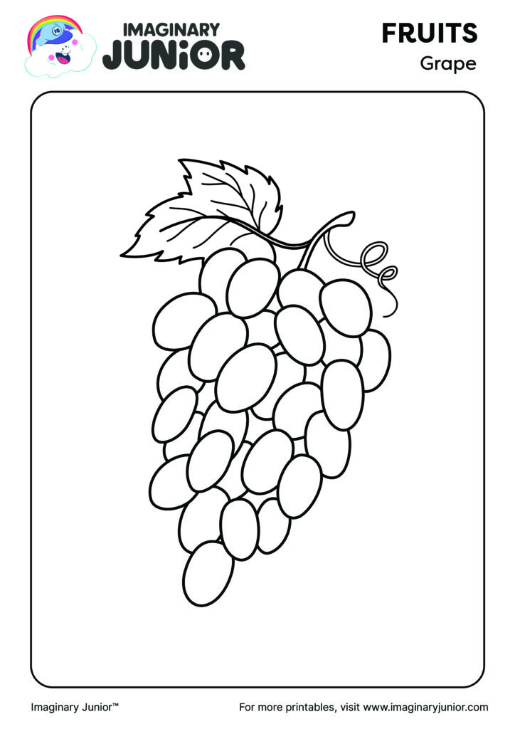 Grape Printables & Coloring Pages (2025 Edition) - Imaginary Junior