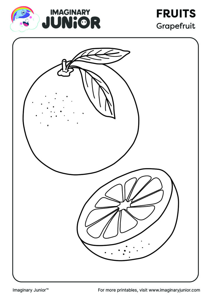 Grapefruit Printables & Coloring Pages (2026 Edition) - Imaginary Junior
