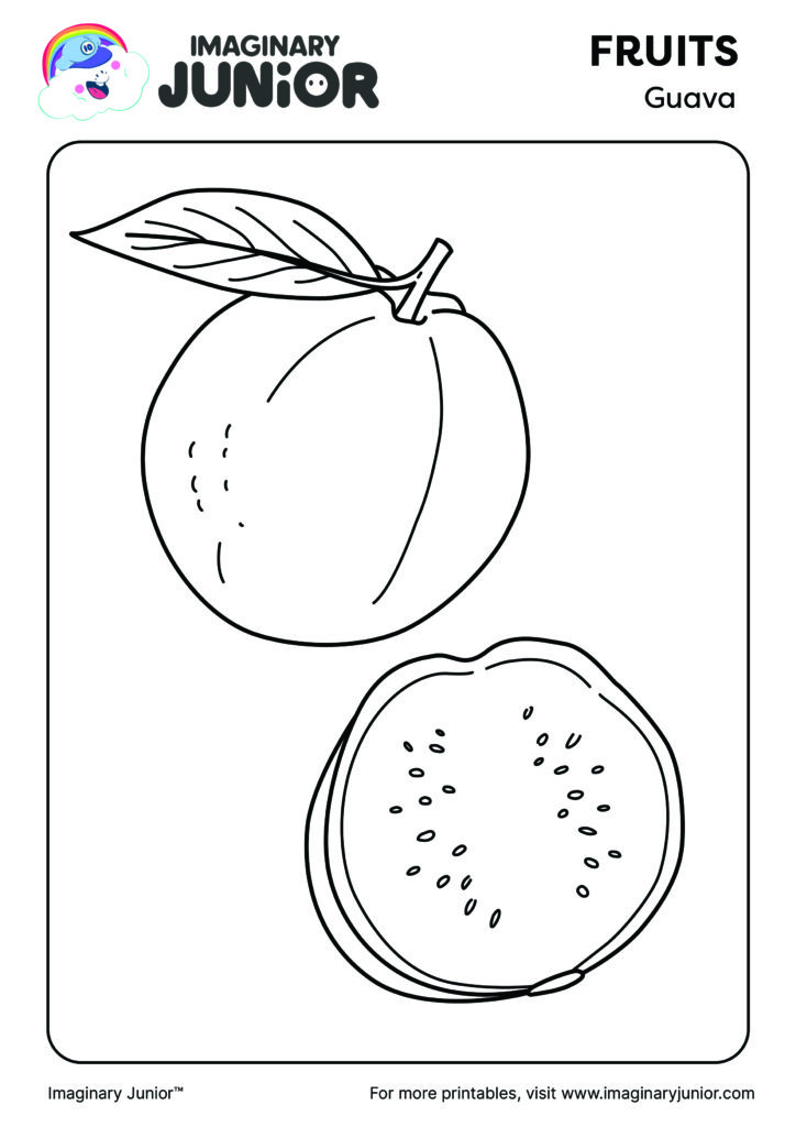 Guava Printables & Coloring Pages (2025 Edition) - Imaginary Junior