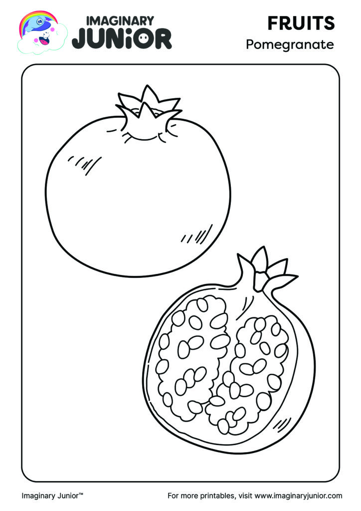 Pomegranate Printables & Coloring Pages (2025 Edition) - Imaginary Junior